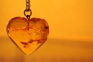 What is Amber? How is Amber Formed, Where is it Found and What is it ...