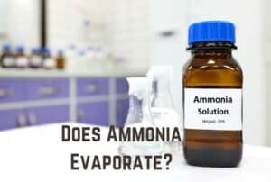 Does Ammonia Evaporate? (Answered) | Earth Eclipse